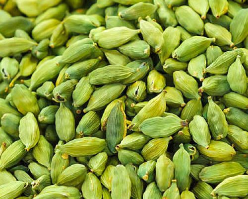 Green Cardamom Supplier and Exporter From India - Dhanraj Enterprise
